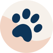 Paramus Animal Hospital & Vet Clinic in New Jersey | Bond Vet