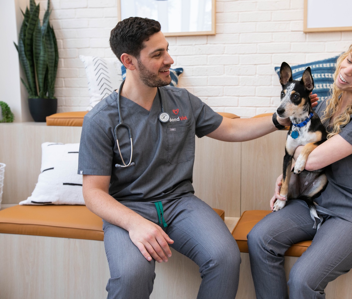 Bedford Stuyvesant Veterinary Clinic
