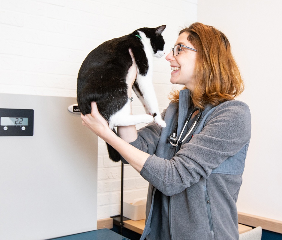 Preventive care & wellness exams for pets | Bond Vet