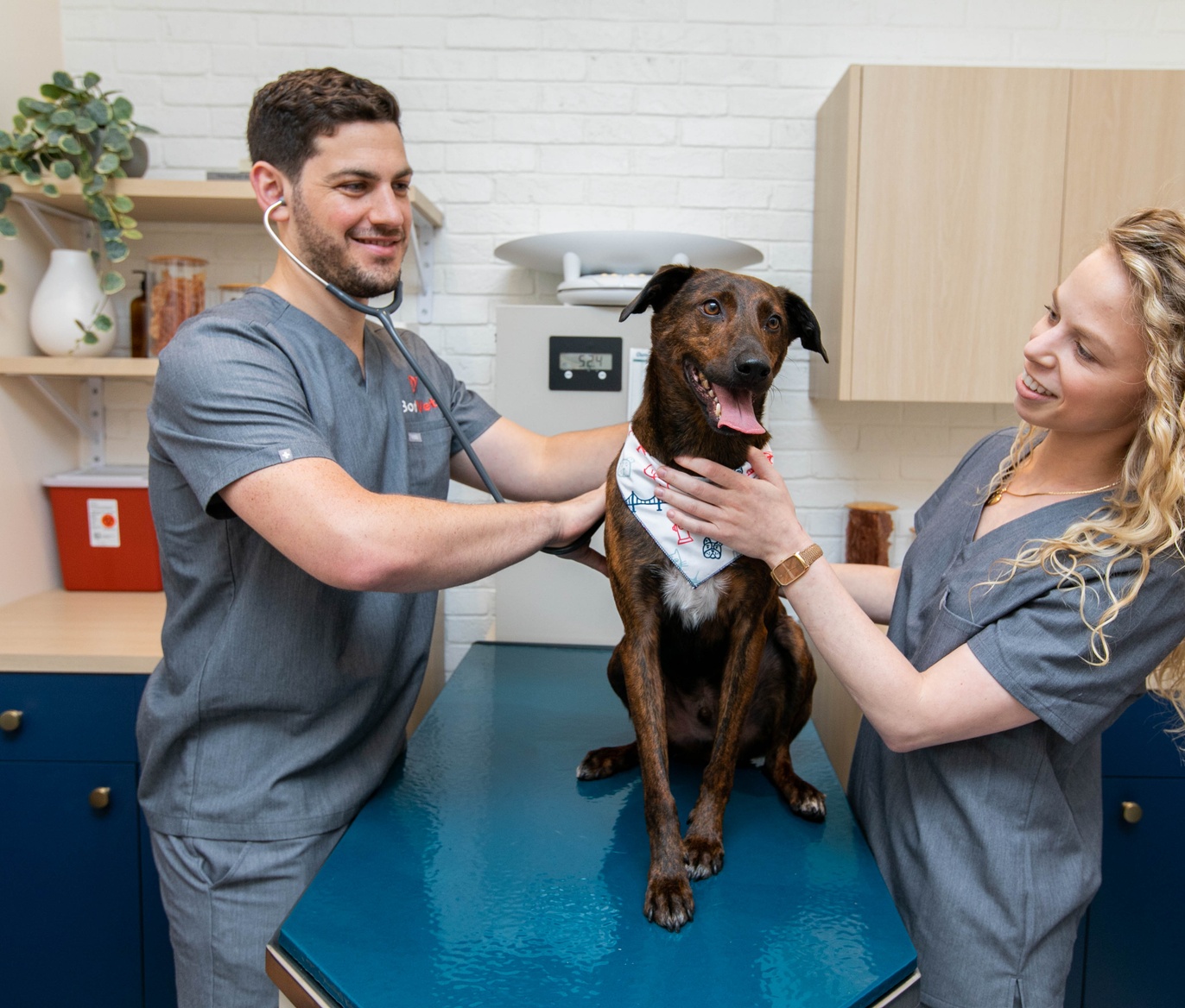 Clinton Hill Animal Hospital & Vet Clinic - Brooklyn, NY | Bond Vet