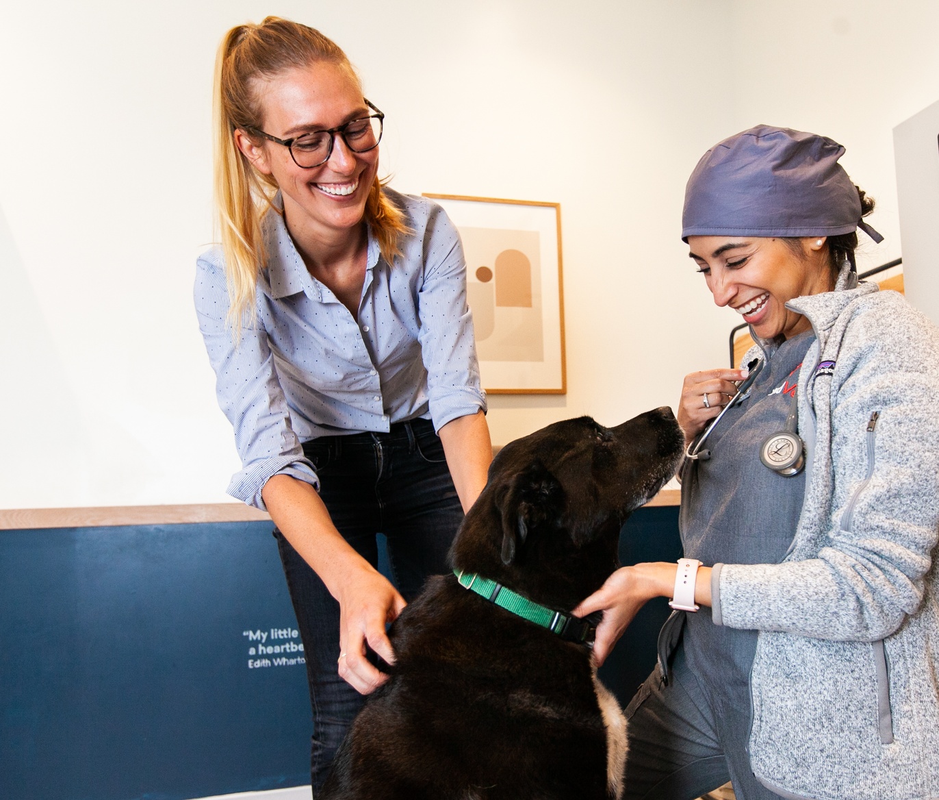 Long Island City Animal Hospital & Vet Clinic - Queens, NY | Bond Vet