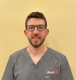 Montclair Animal Hospital & Vet Clinic in New Jersey | Bond Vet