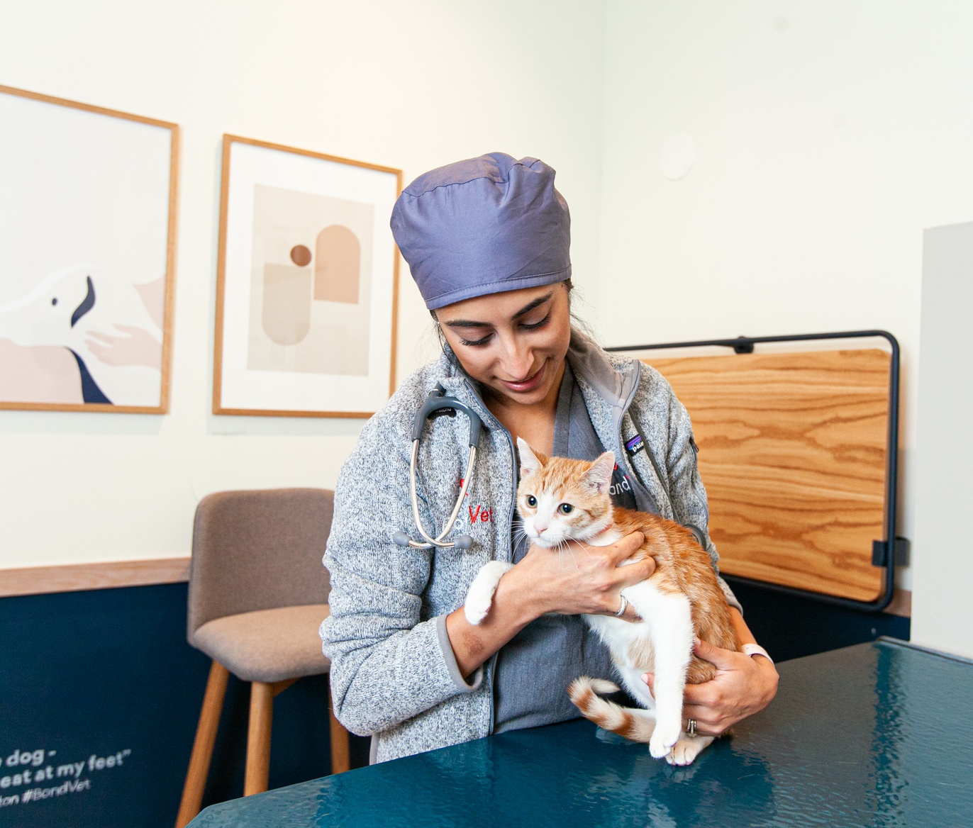 Upper West Side at 91st Street Animal Hospital & Vet Clinic | Bond Vet