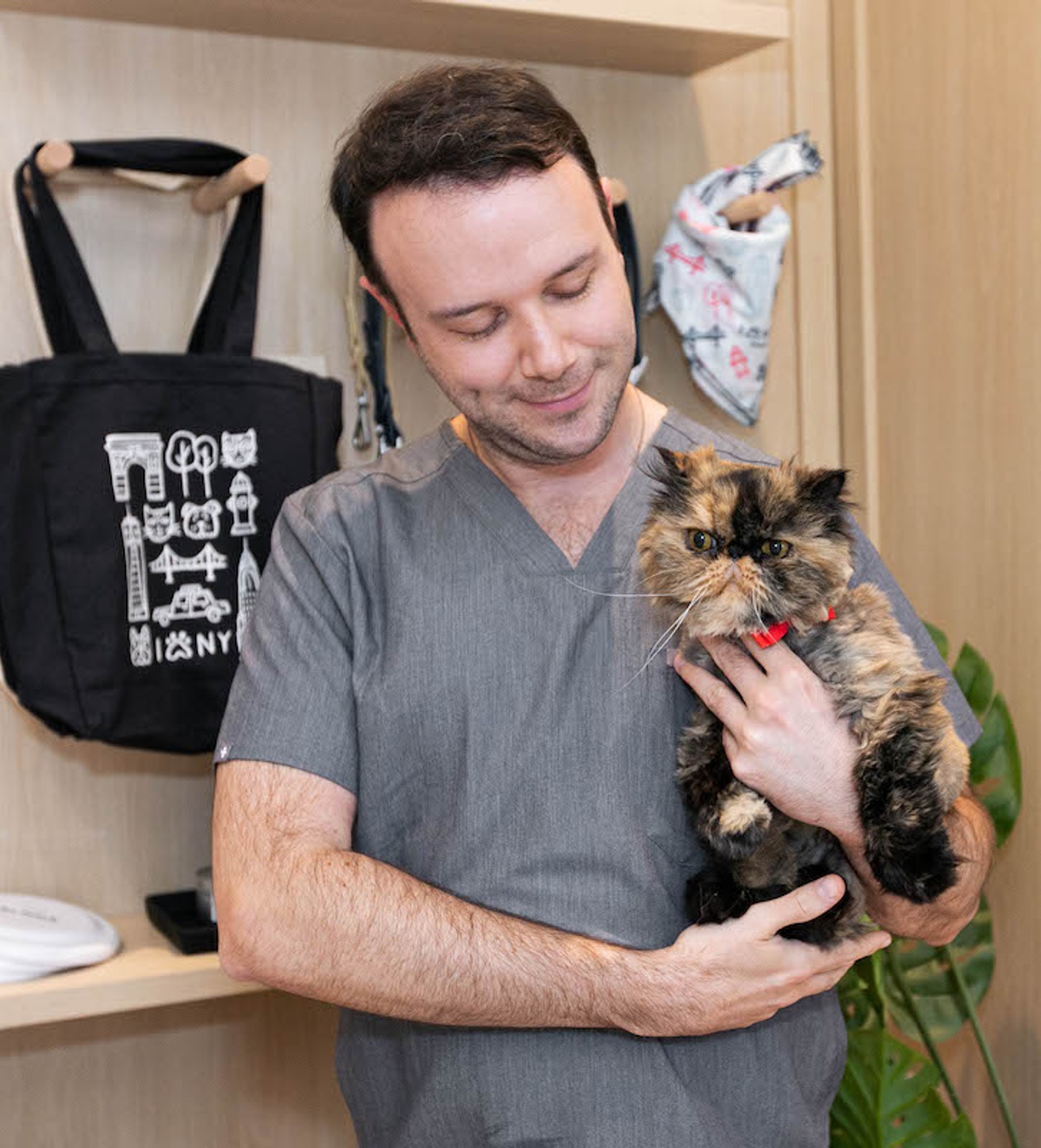 Cat Sedatives: When and How to Use Them | Bond Vet