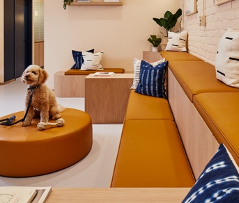 Animal Hospital & Vet Clinic in Cobble Hill, Brooklyn | Bond Vet
