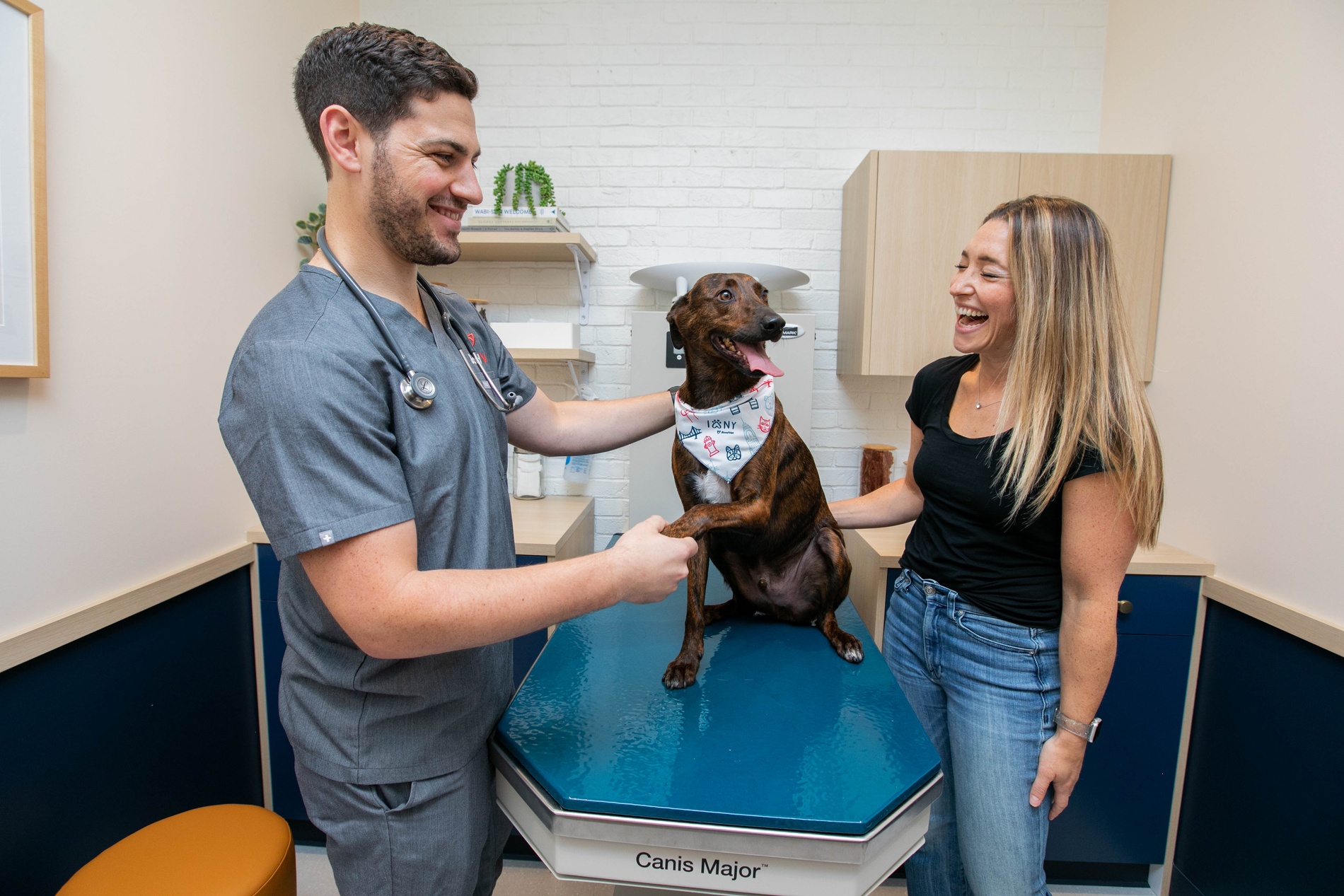 Friendly, Compassionate Primary & Urgent Care For Pets | Bond Vet