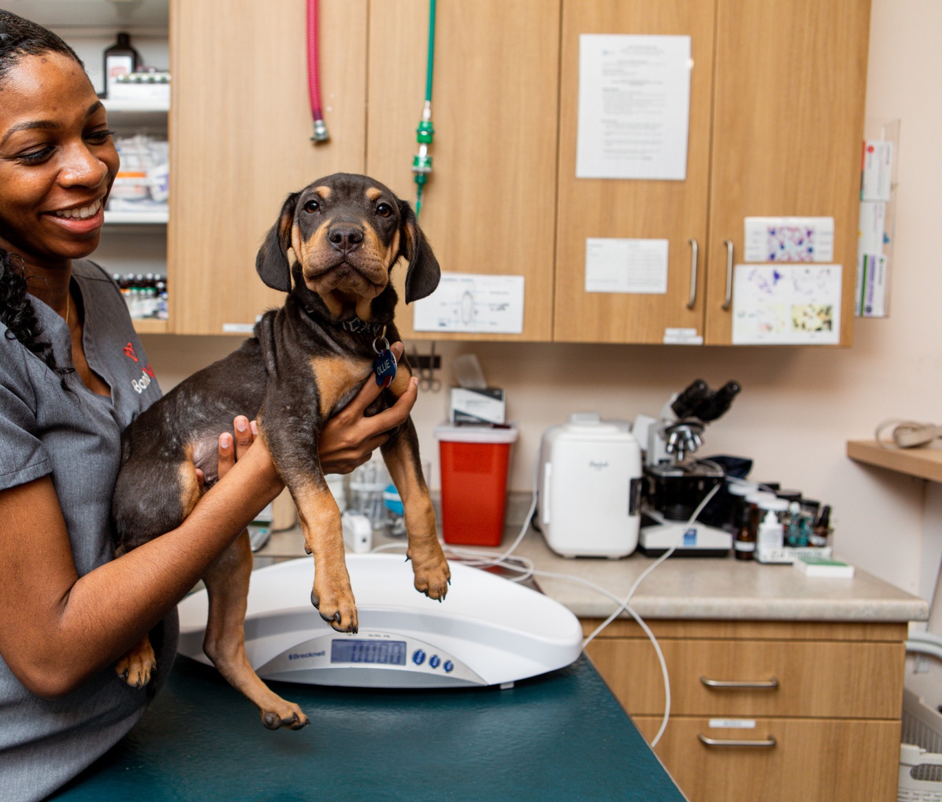 Financial District Animal Hospital & Vet Clinic - Tribeca & Battery ...