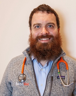 About Us and our wonderful veterinarians | Bond Vet