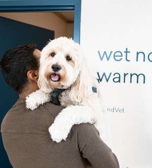 Dog Sedatives: When and How to Use Them | Bond Vet