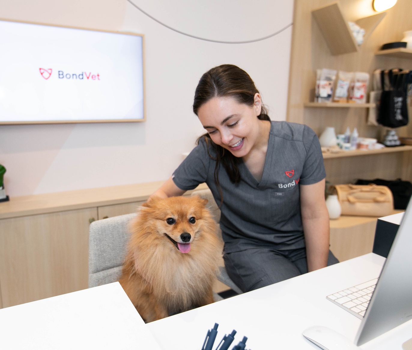 Jersey City Animal Clinic & Vet Clinic - Checkups, Emergencies, & More ...