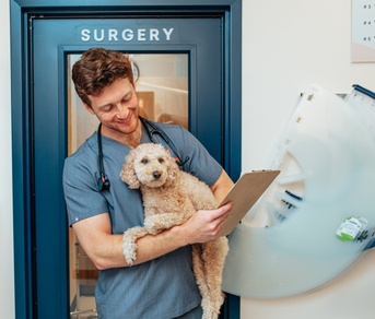 Capitol Hill Animal Hospital & Vet Clinic - Washington, DC | Bond Vet