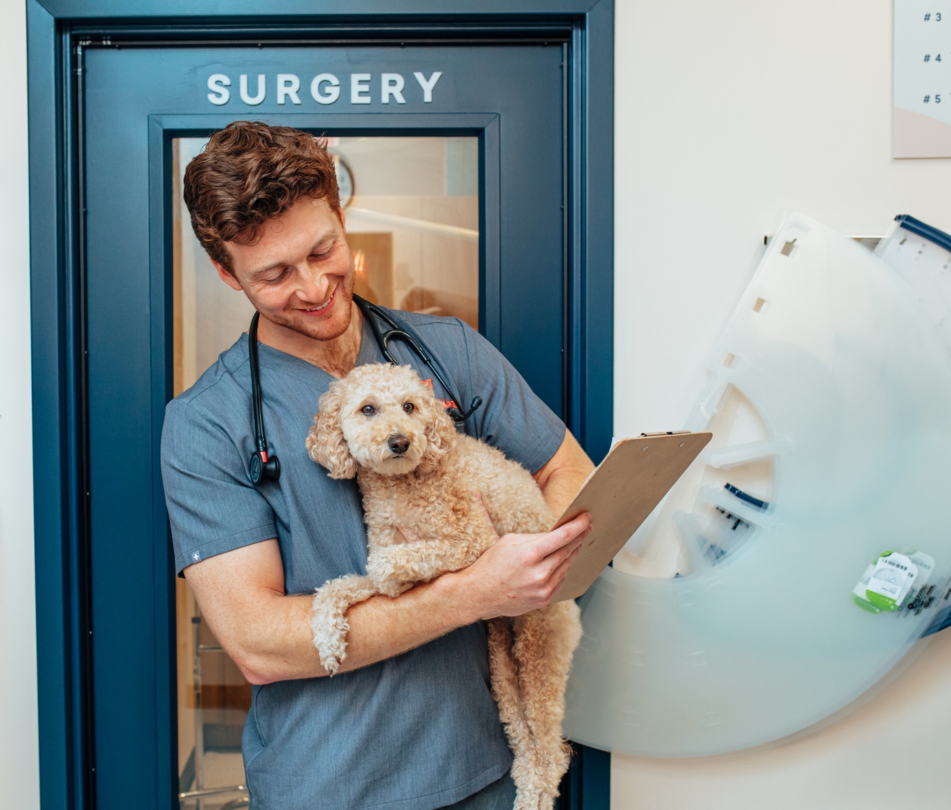 Capitol Hill Animal Hospital & Vet Clinic - Washington, DC | Bond Vet