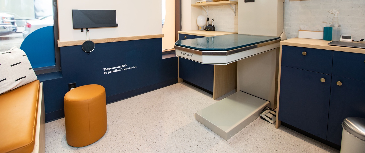 Capitol Hill Animal Hospital & Vet Clinic - Washington, DC | Bond Vet