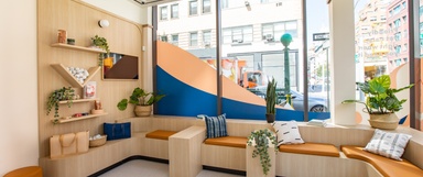 Chelsea, NYC Animal Hospital & Vet Clinic - Checkups, Emergencies ...