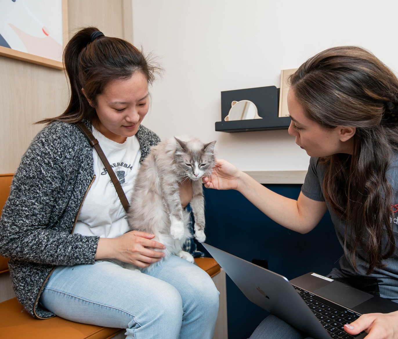 Upper West Side at 112th Street Animal Hospital & Vet Clinic | Bond Vet