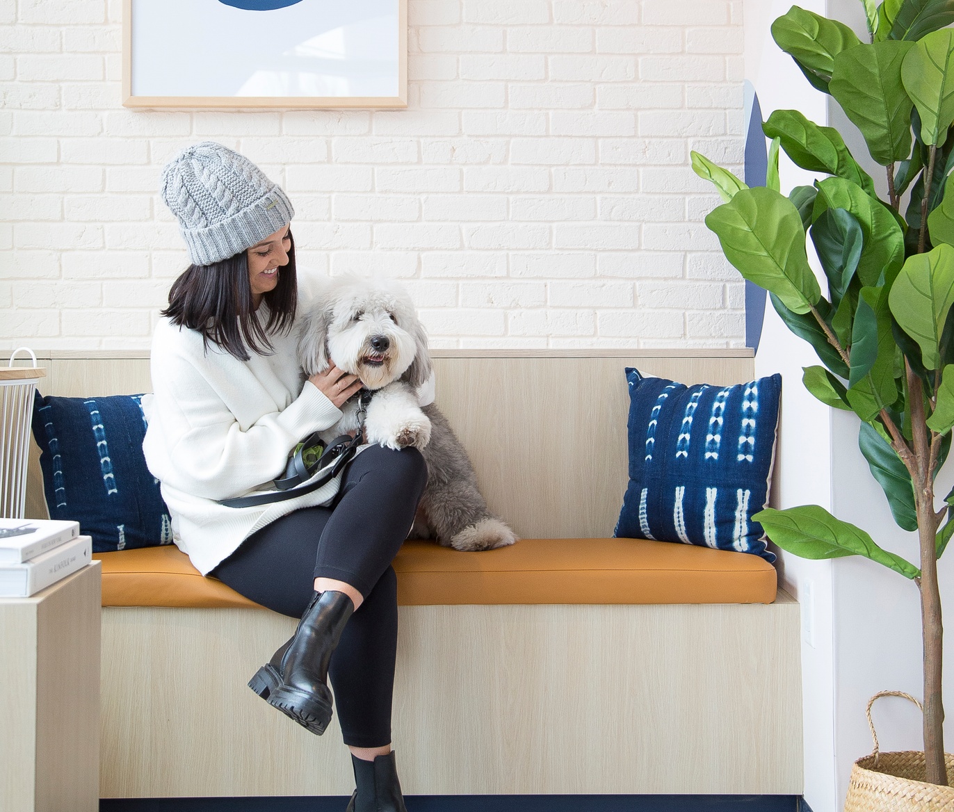 Lynnfield Animal Hospital & Vet Clinic - Boston, MA | Bond Vet