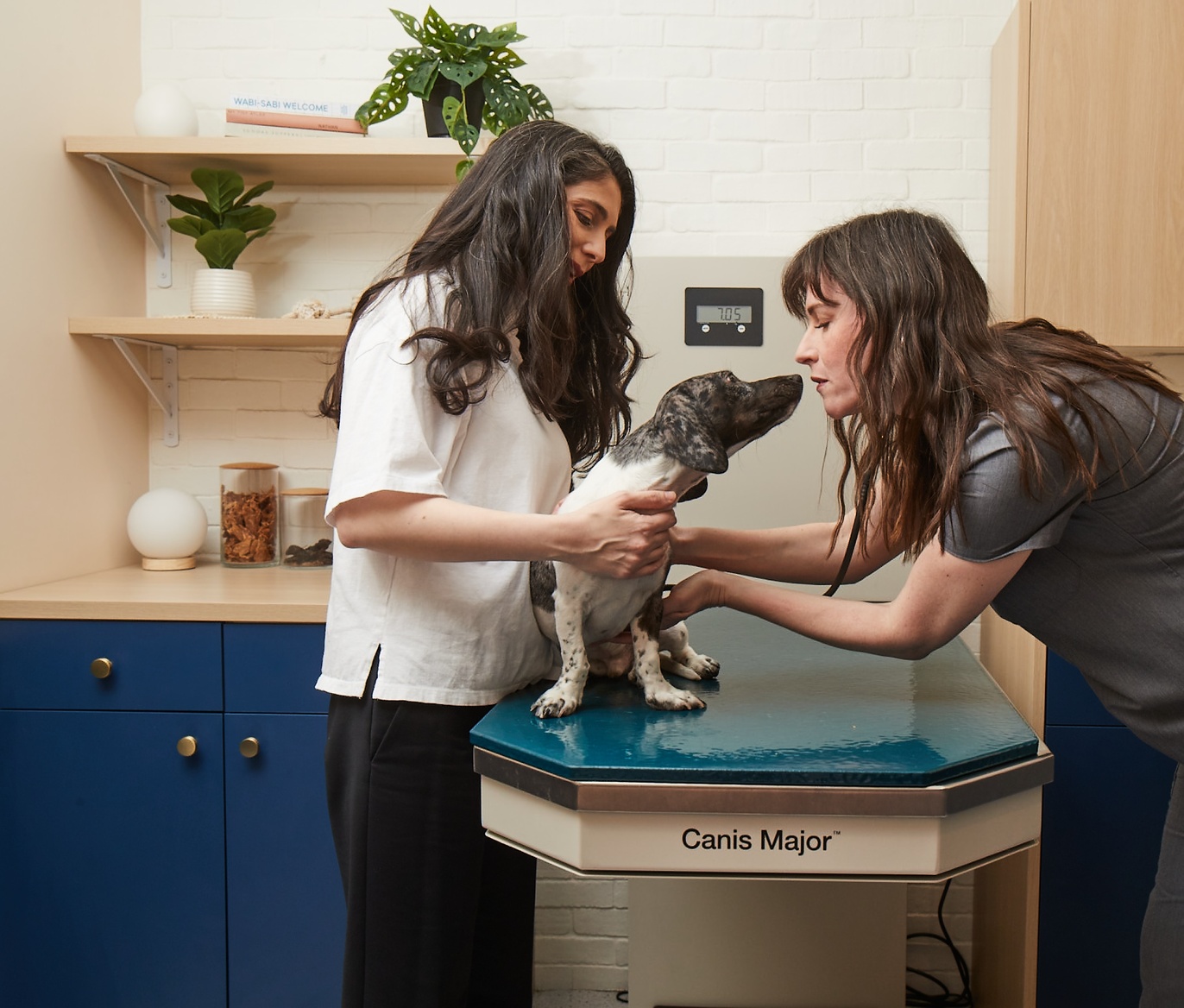 Bedford Stuyvesant Veterinary Clinic