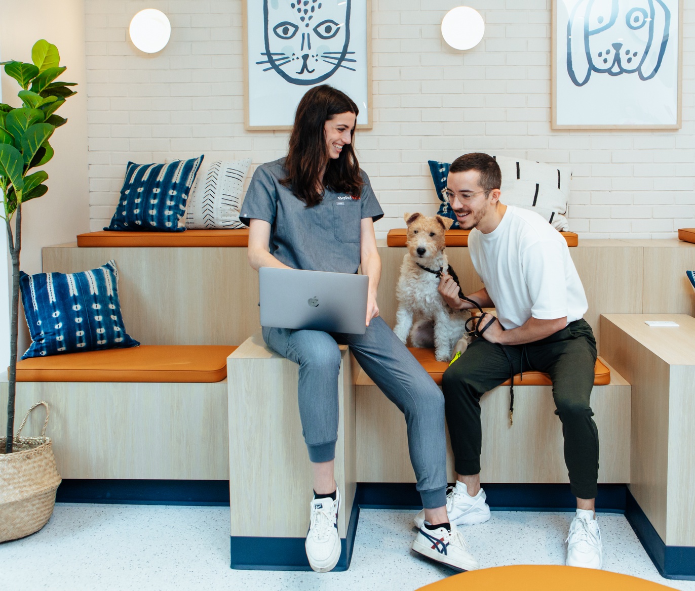 Capitol Hill Animal Hospital & Vet Clinic - Washington, DC | Bond Vet