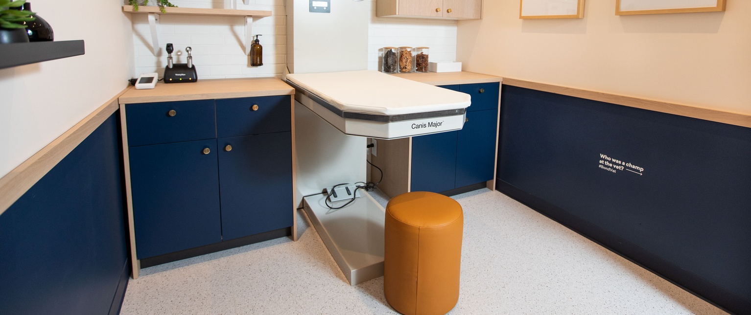 Logan Circle Animal Hospital & Vet Clinic - Downtown Washington, DC ...