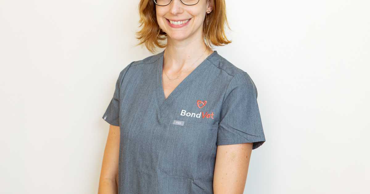 Why a Daily Dog Routine is Important & What it Should Look Like | Bond Vet