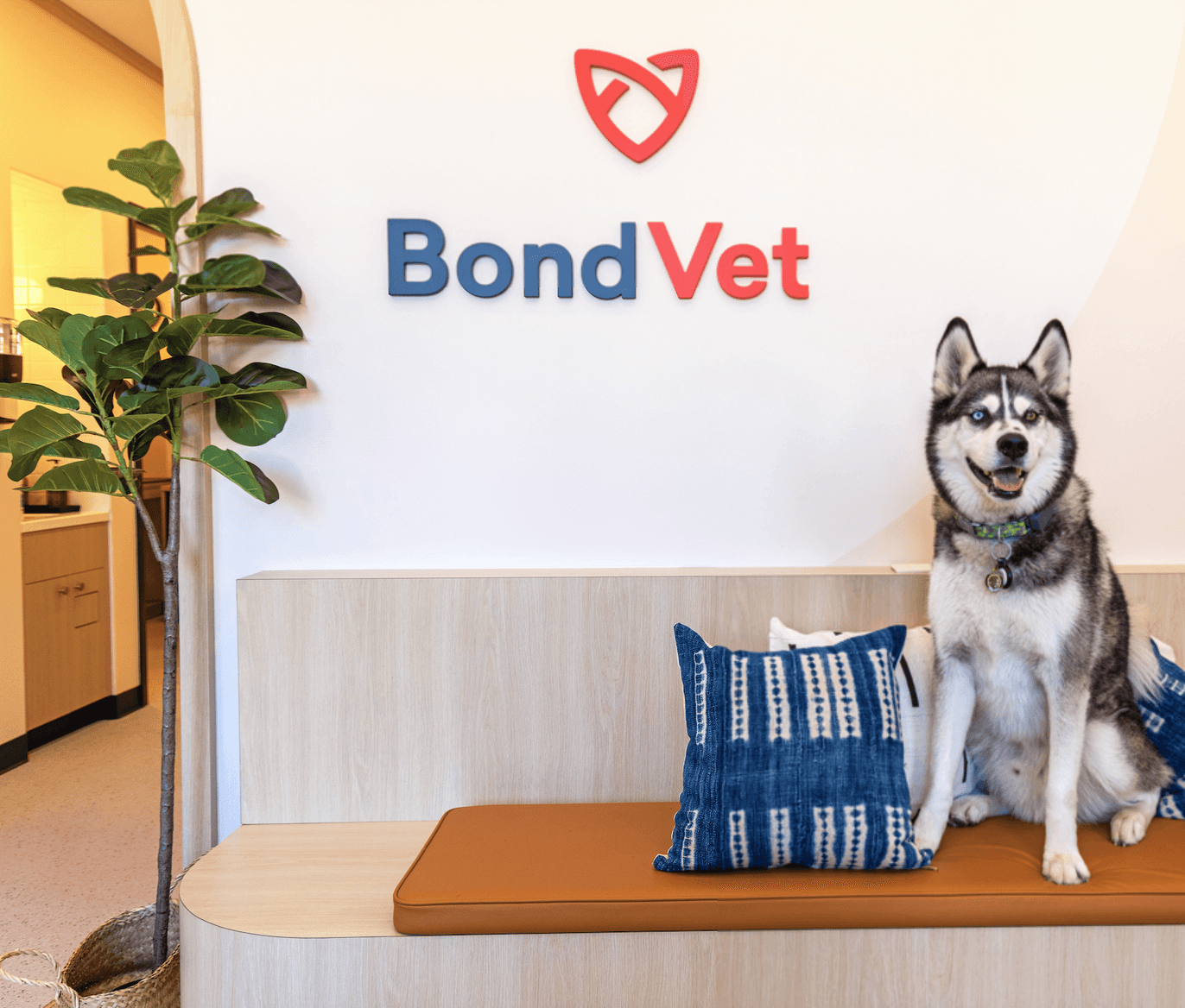 Wicker Park Animal Hospital & Vet Clinic in Chicago | Bond Vet