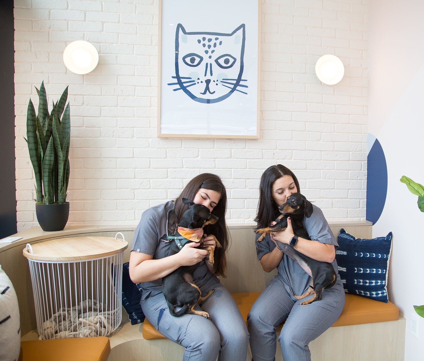 Williamsburg Animal Hospital & Vet Clinic - Brooklyn, NY | Bond Vet