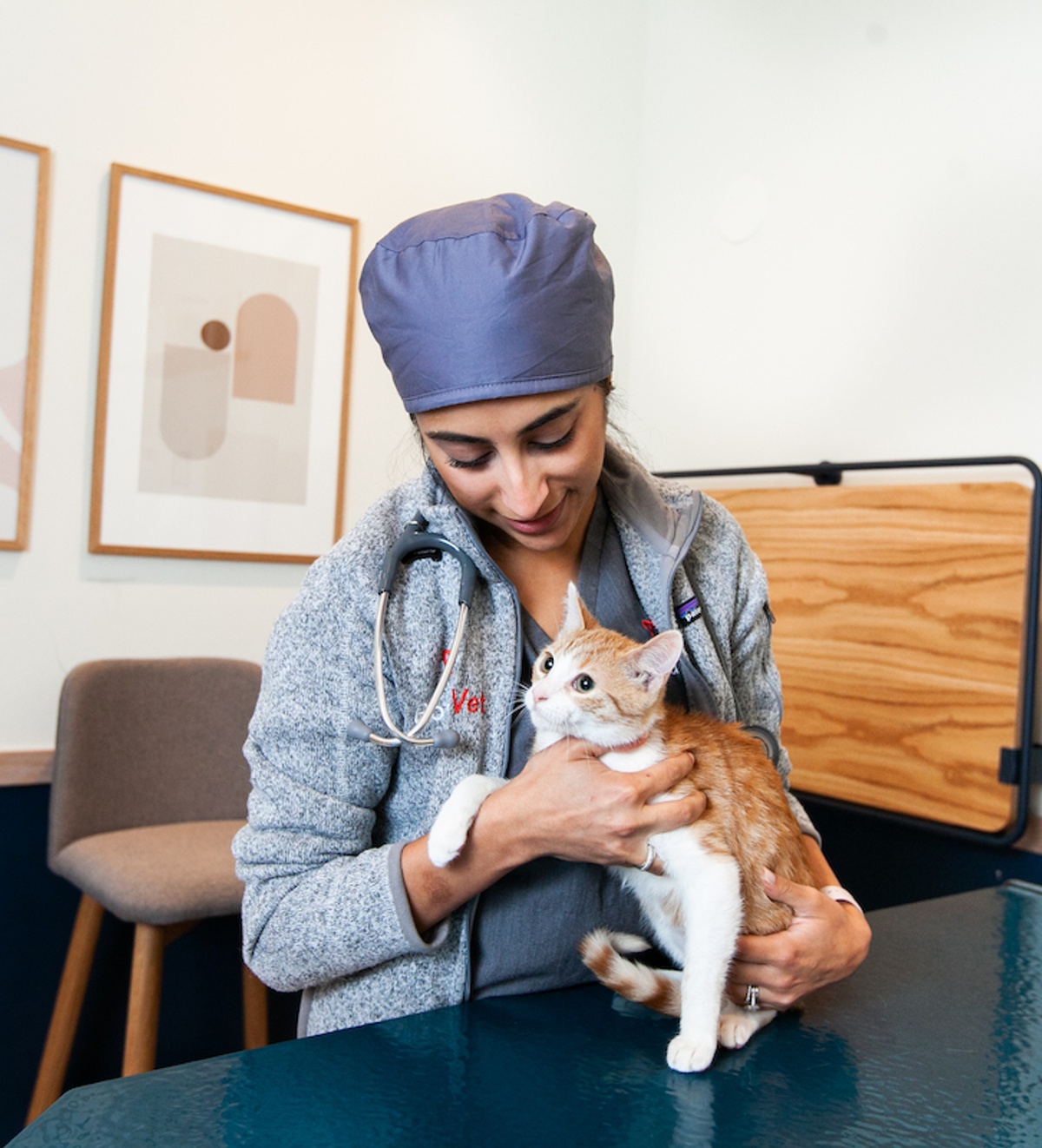 Enucleation: Eye Removal in Dogs & Cats | Bond Vet