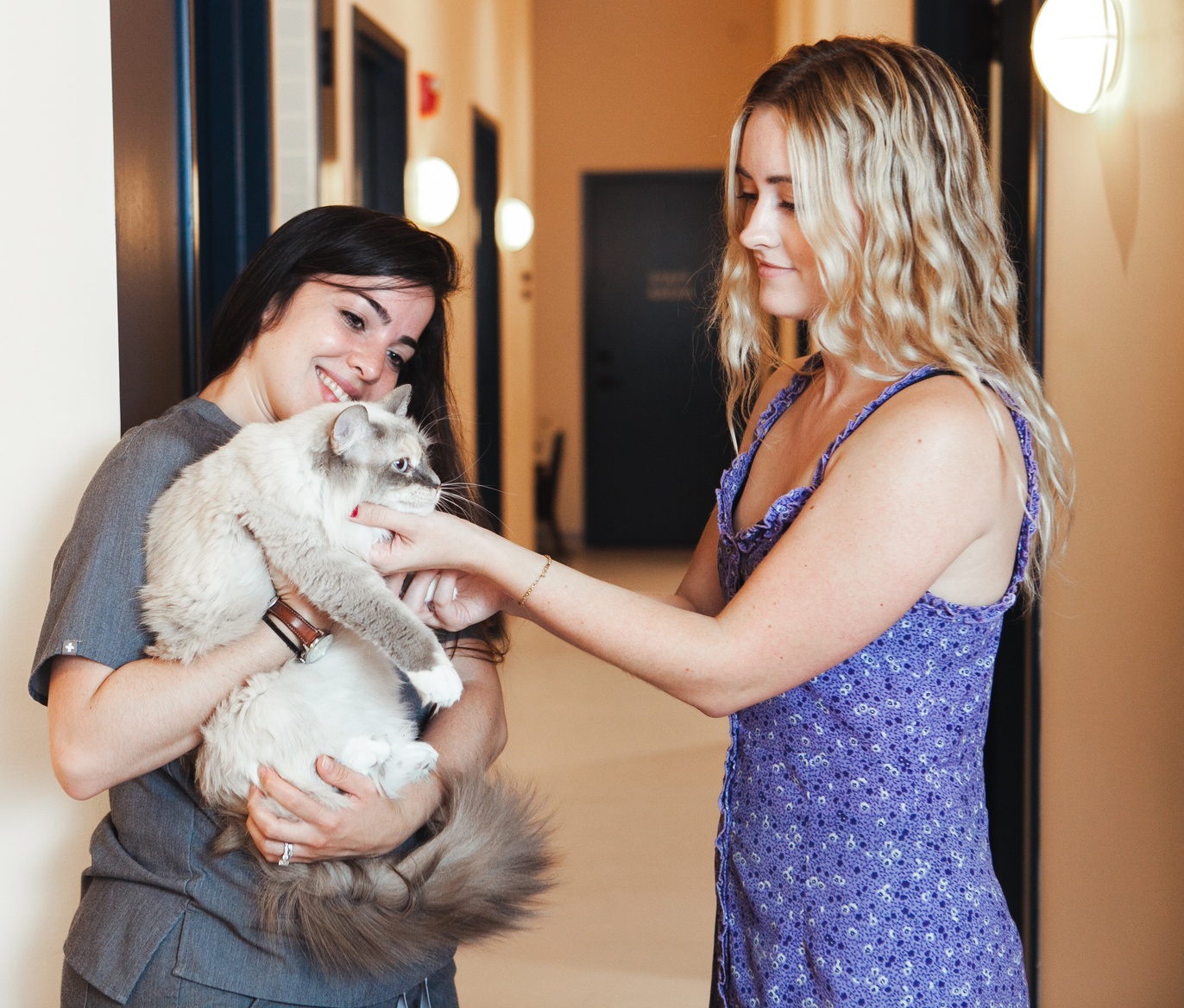 Lakeview Animal Hospital & Vet Clinic - Chicago, IL | Bond Vet