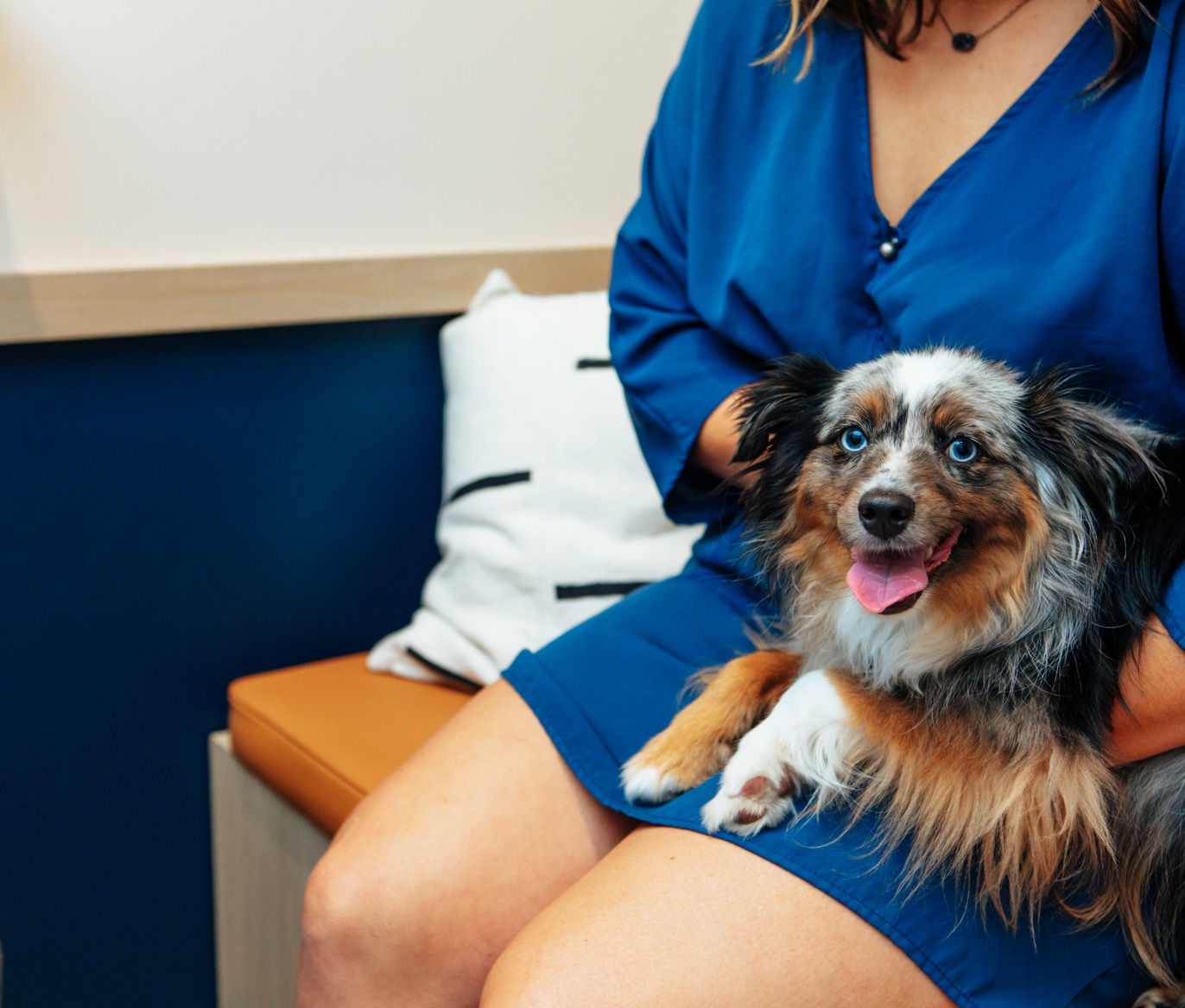 Upper West Side at 91st Street Animal Hospital & Vet Clinic | Bond Vet