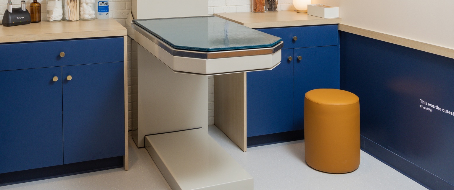 Financial District Animal Hospital & Vet Clinic - Tribeca & Battery ...
