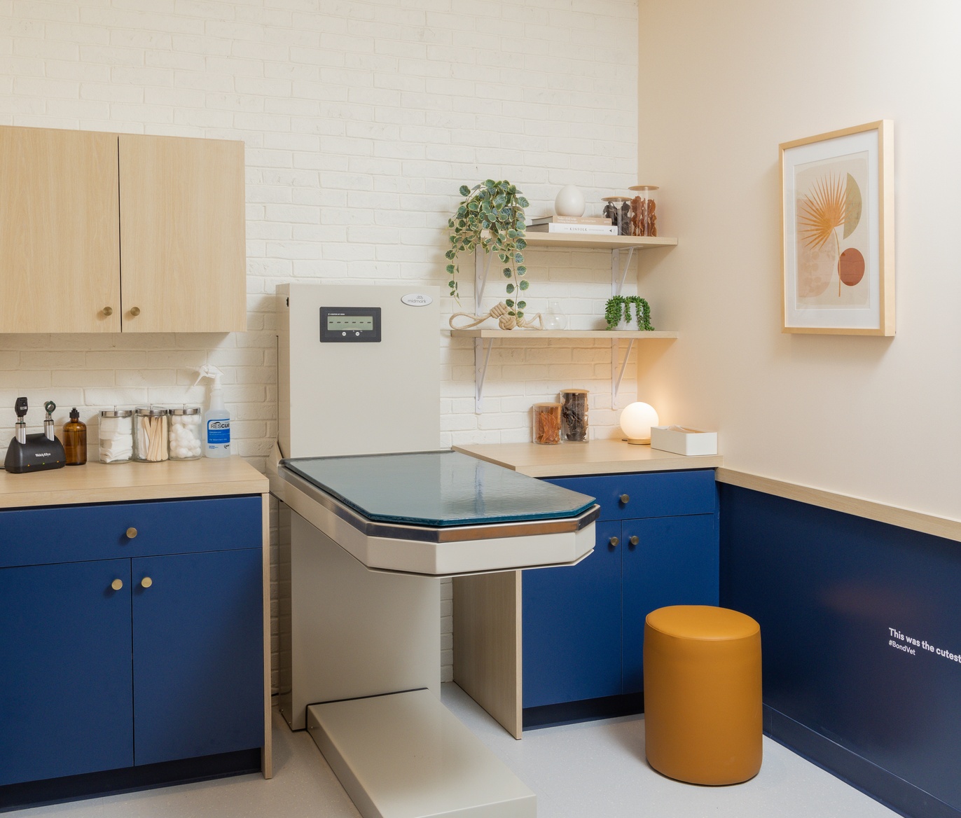 Ditmas Park Animal Hospital & Vet Clinic - Brooklyn, NY | Bond Vet