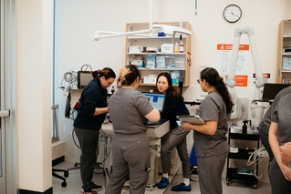 Early Career Veterinarians - Bond Vet Careers (125 open roles) | Bond Vet